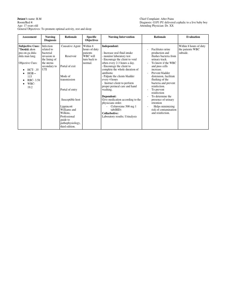Post-Partum Care Plan NCP | PDF | Urinary Tract Infection | Postpartum ...