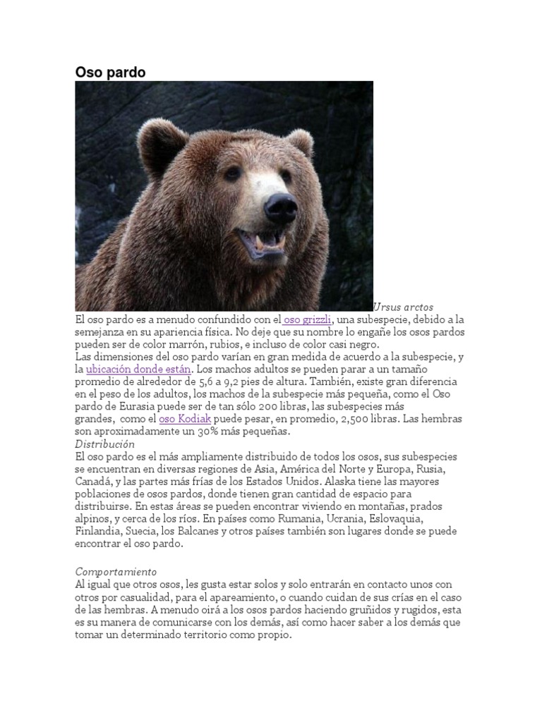 Osos Pardo | PDF | Osos | Organismos