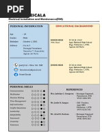 Skill Audit Template Guide | PDF
