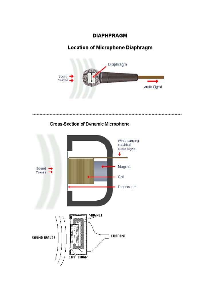 Diaphpragm Location of Microphone Diaphragm | PDF