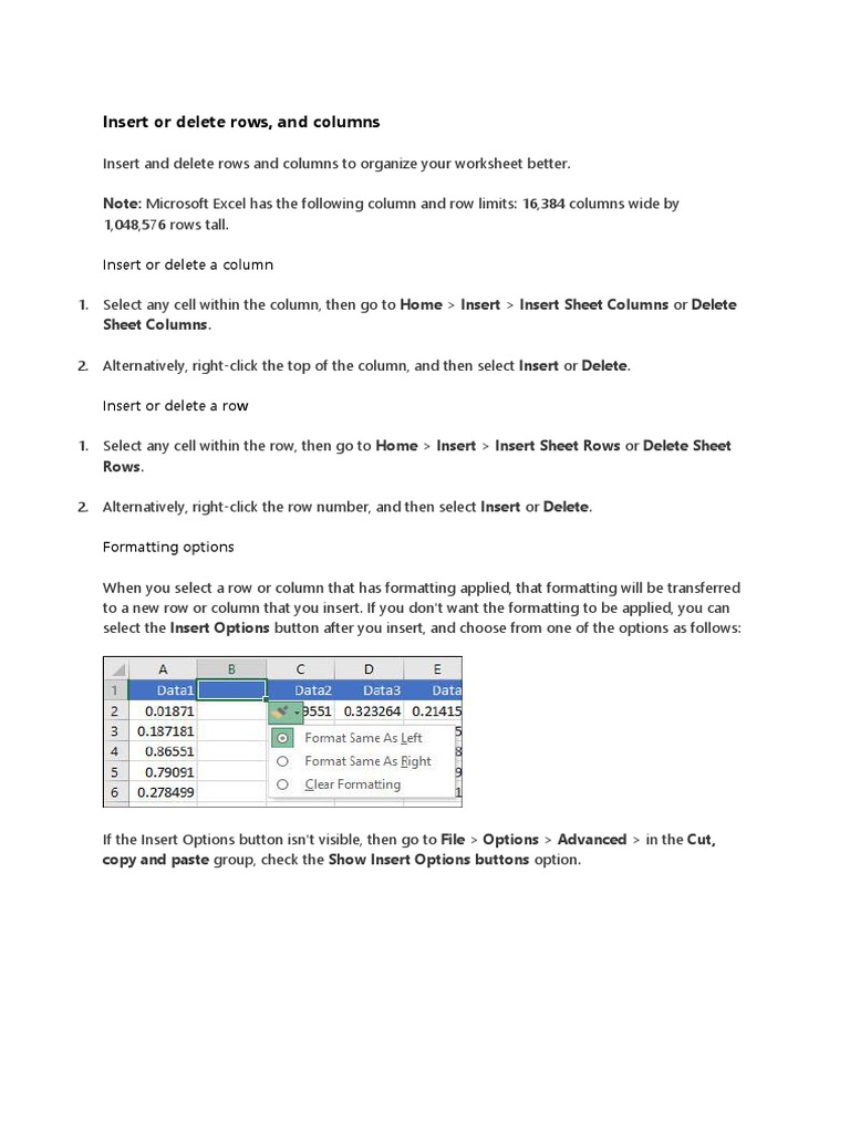 Excel: Insert/Delete Rows & Columns | PDF