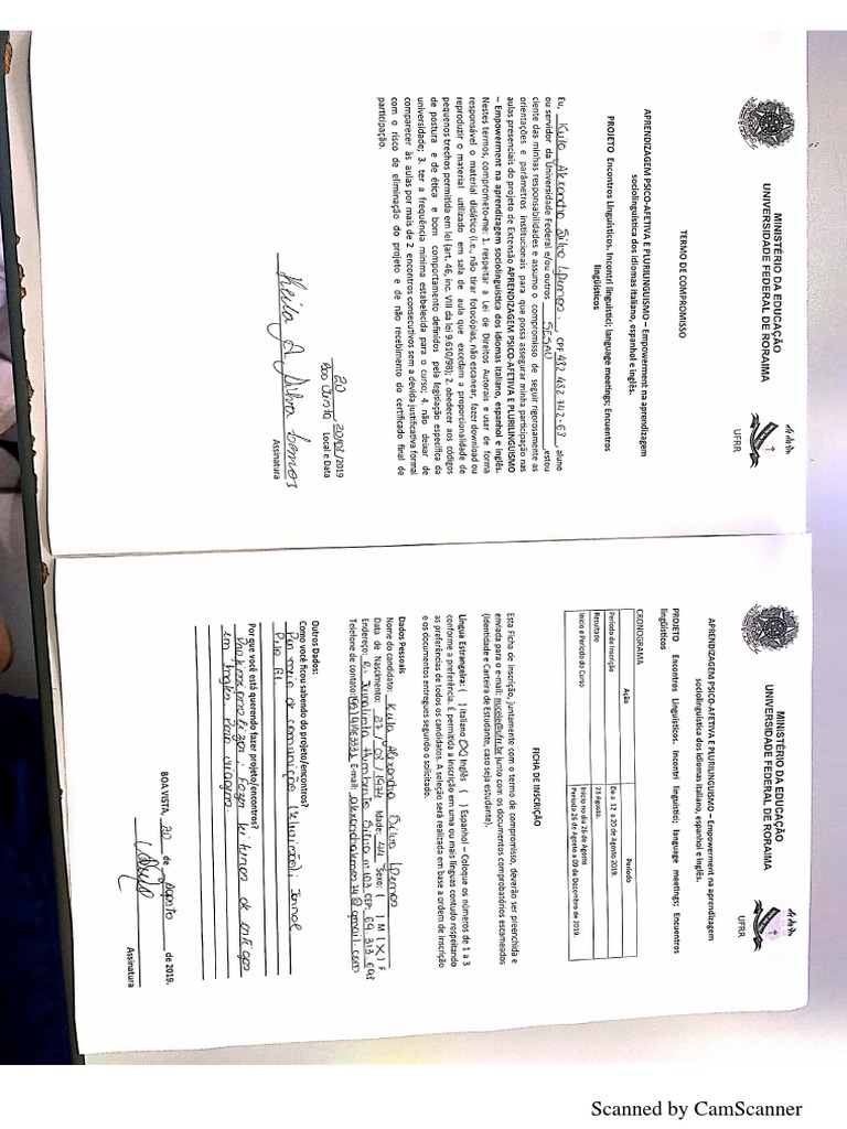 Modelo de Documento | PDF