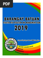 BDRRMC Structure | PDF | Security | Prevention