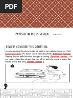 01 - Human Brain - Labeling Diagrams - Parts & Functions - Fill in The ...