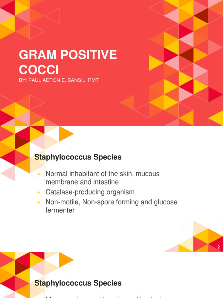 Gram Positive Cocci | PDF | Streptococcus | Staphylococcus