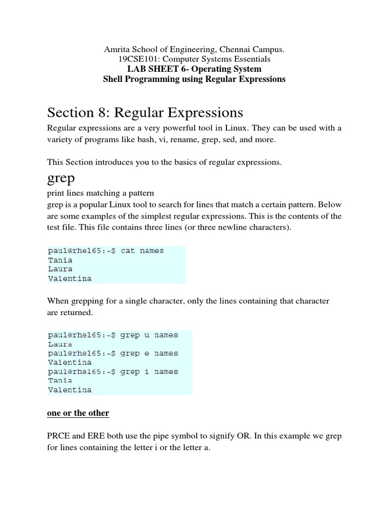 Lab Sheet 6 | Download Free PDF | Regular Expression | Computer File