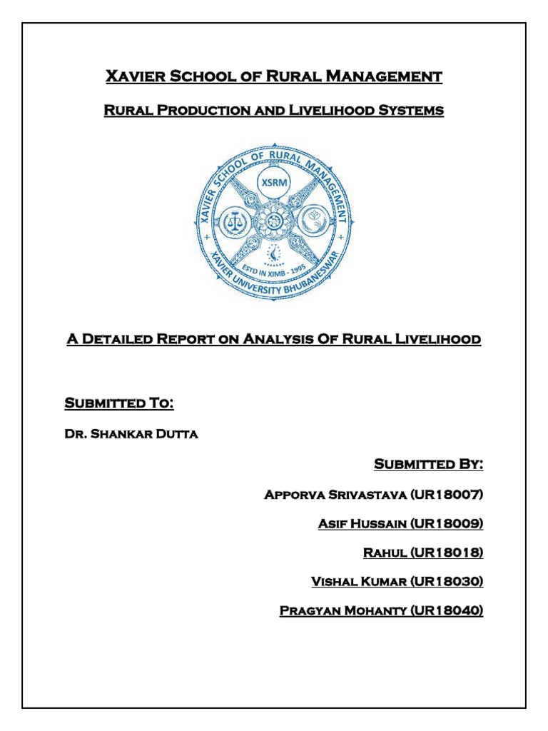 Rural Livelihood Mapping | PDF | Human Capital | Capital (Economics)