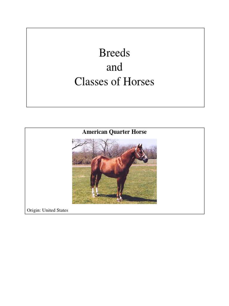 Animal Science 1st Activity | PDF | Domesticated Animals | Livestock