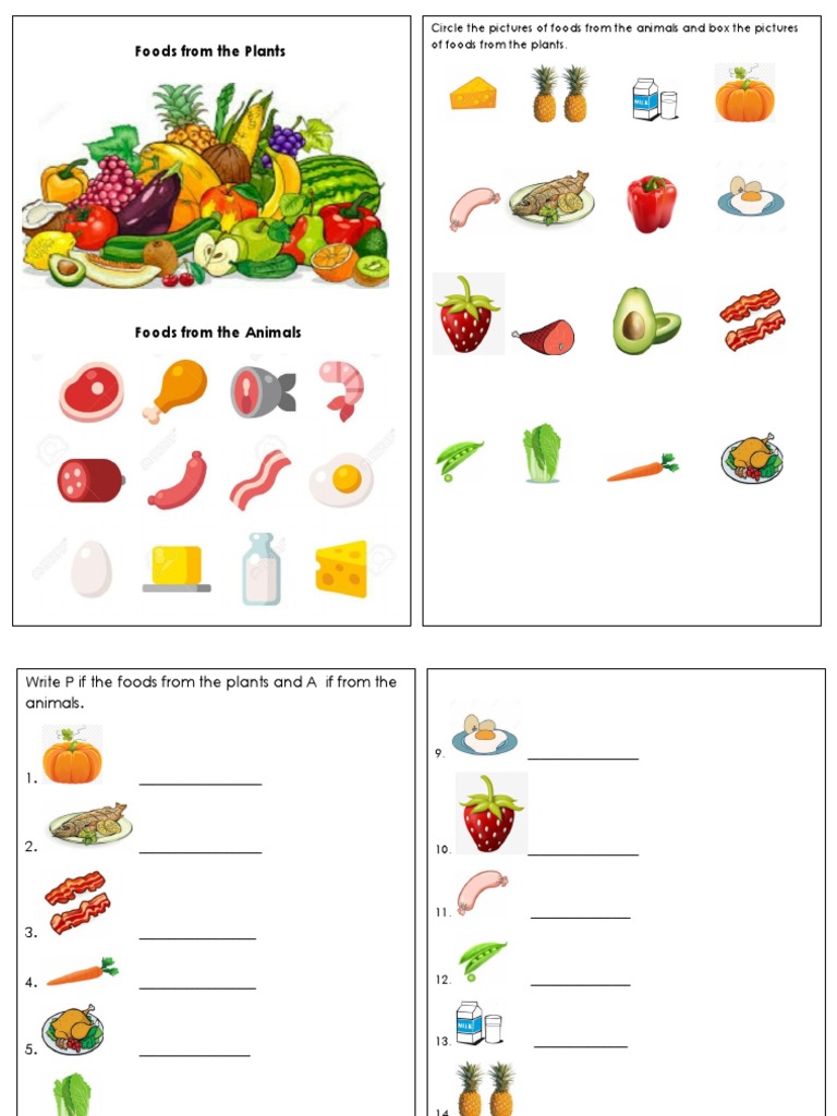 Food From Animals And Plants