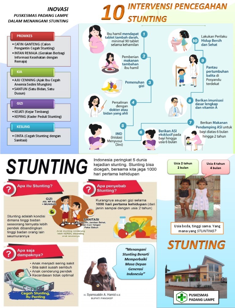 Leaflet Stunting | PDF