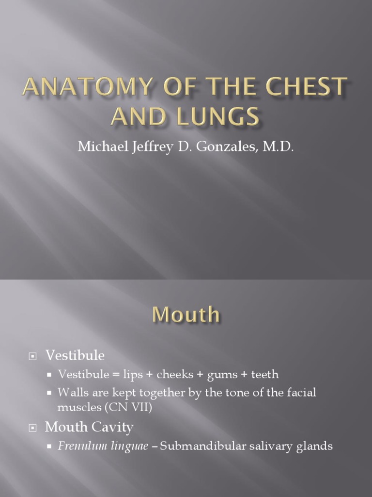 Anatomy of The Chest and Lungs | PDF | Human Nose | Larynx