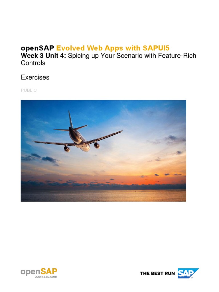 SAP Exercises | Download Free PDF | Web Application | Parameter (Computer Programming)