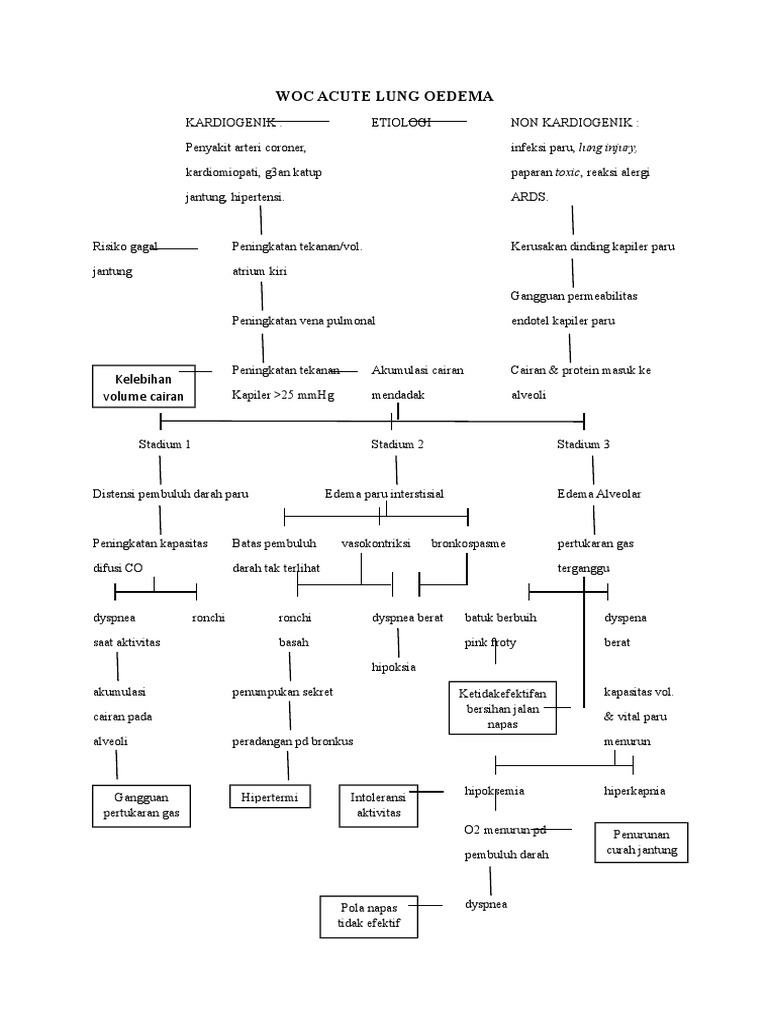 Woc Acute Lung Oedema | PDF
