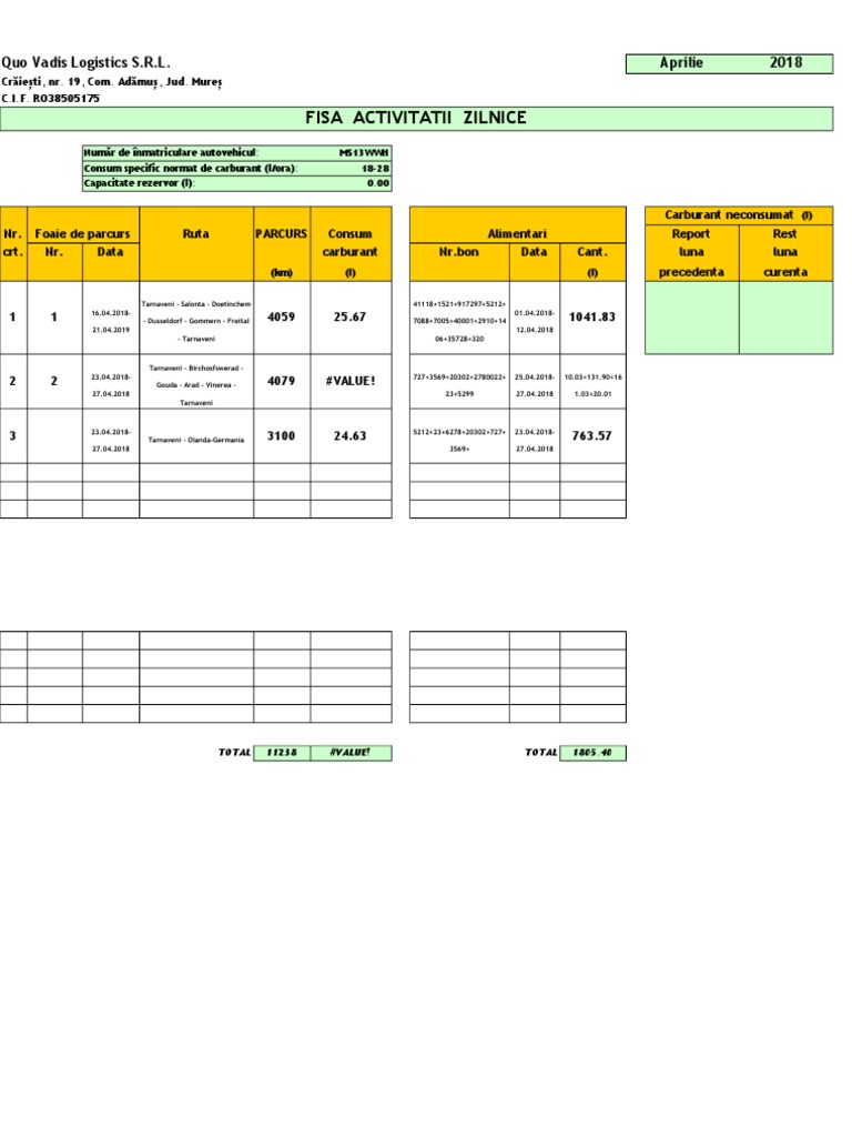 Daily Activity Report for Logistics Company | PDF