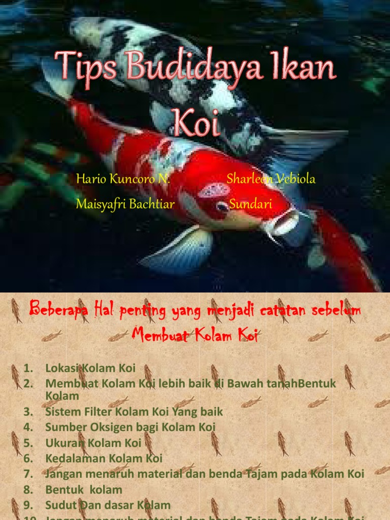 Budidaya Ikan Koi | PDF