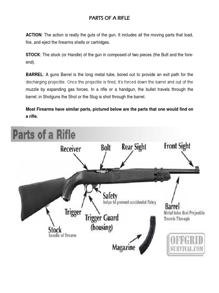 Parts of A Rifle | PDF | Gun Barrel | Firearms