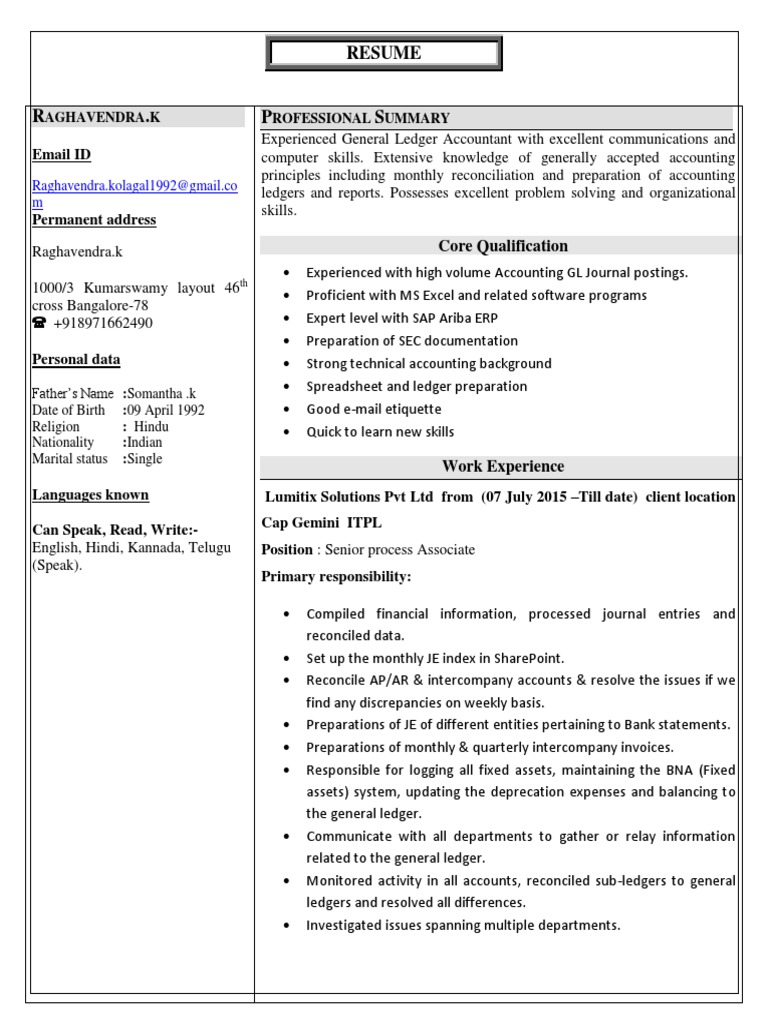Resume Raghu | PDF | Accounting | Computing