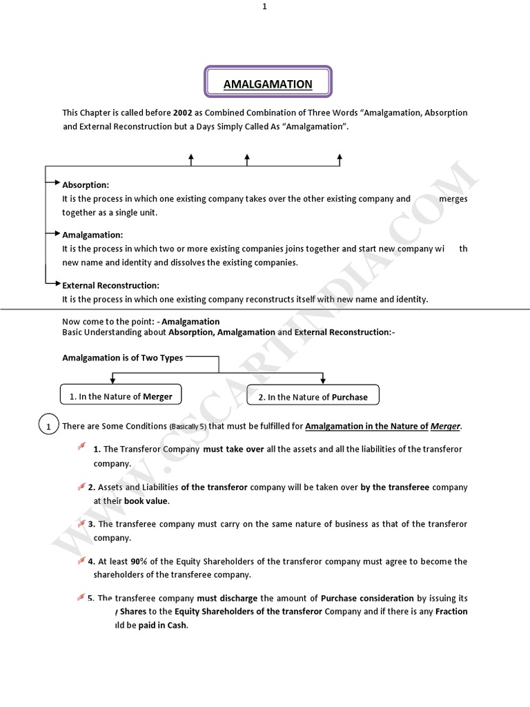Amalgamation: 5) (Basically | PDF | Consolidation (Business) | Equity ...