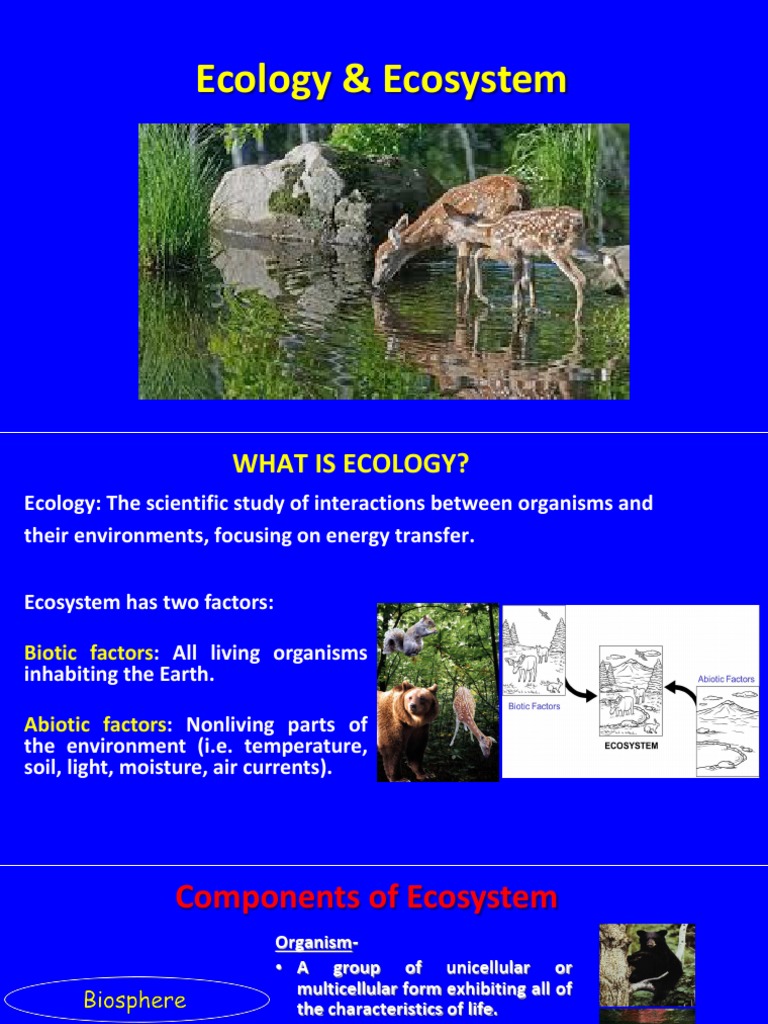 4 Ecology | PDF | Ecology | Predation