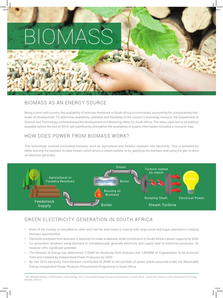 2015 Fact Sheet Biomass - PR | PDF | Biomass | Bioenergy