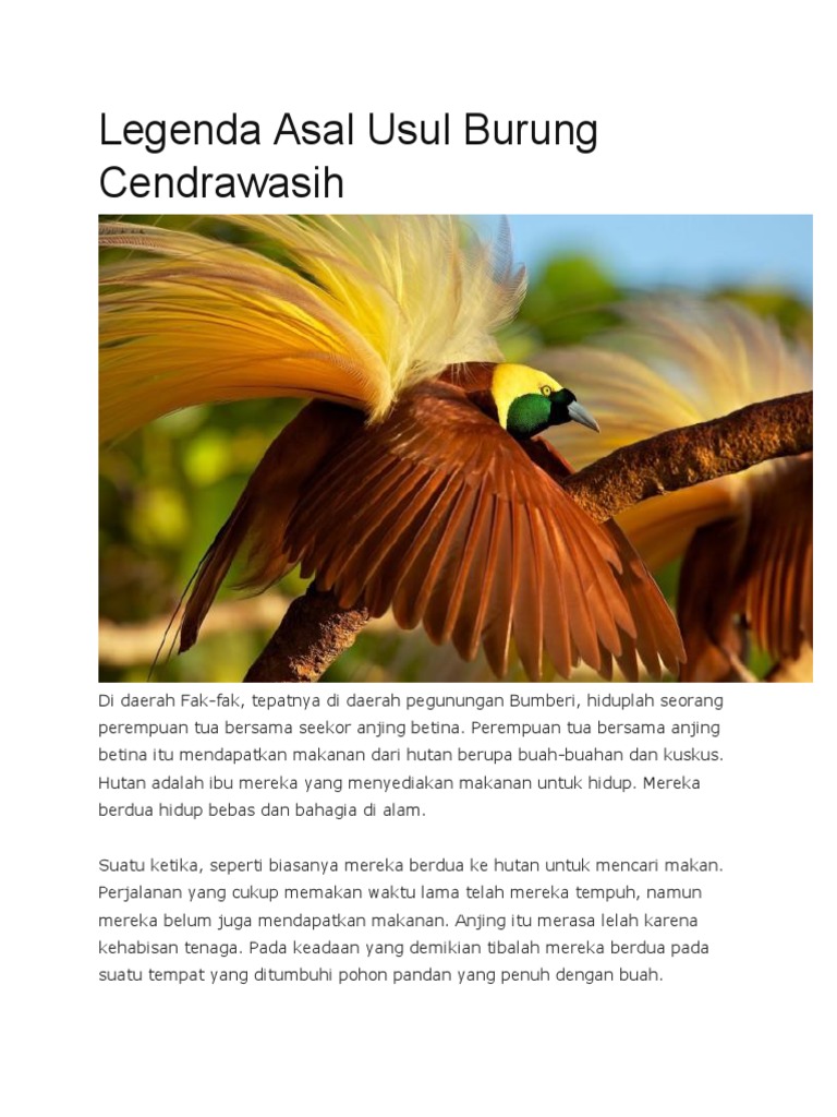 Cerita Rakyat Cendrawasih | PDF