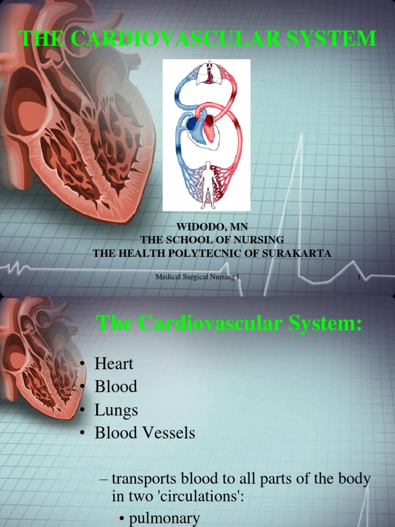 THE CARDIOVASCULAR SYSTEM Review | PDF | Heart | Ventricle (Heart)
