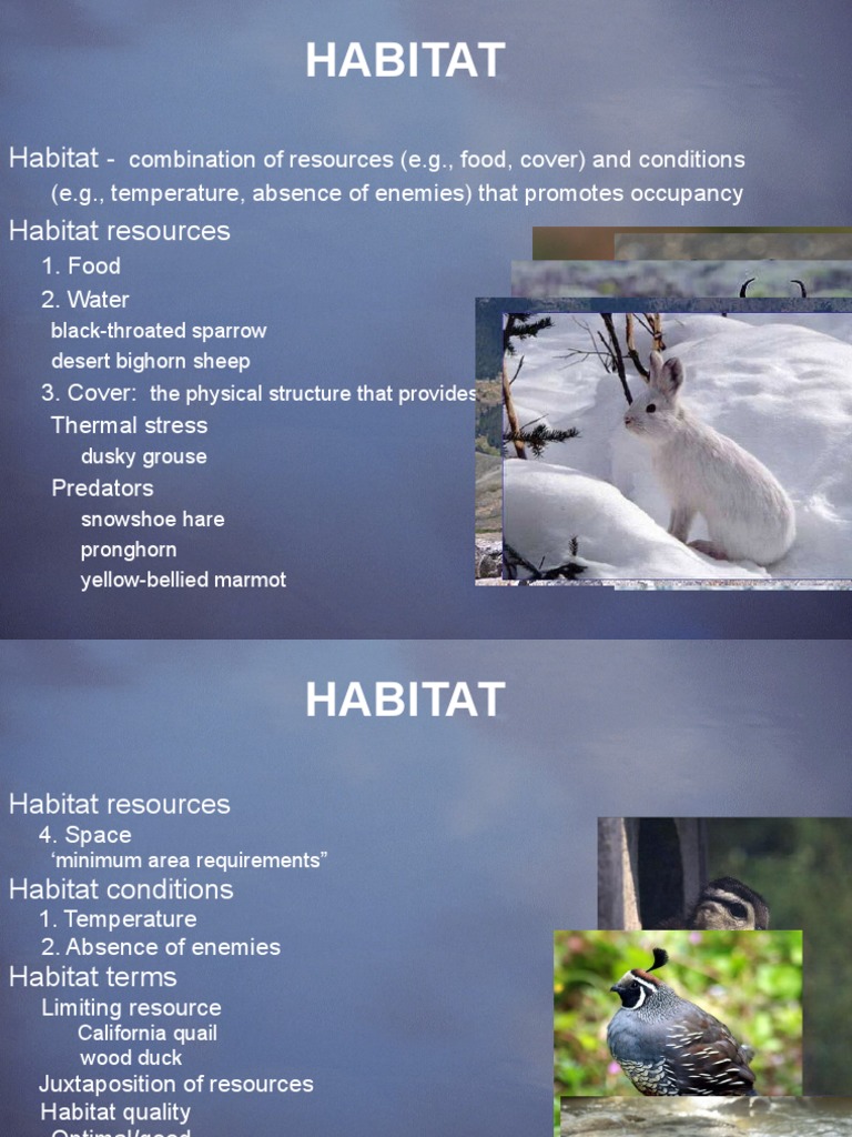 Understanding Habitat and Its Resources | PDF | Habitat | Predation