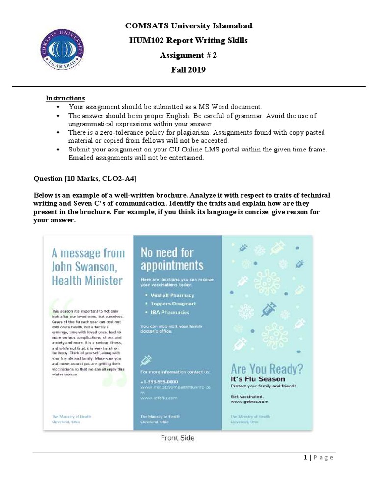 COMSATS University Islamabad HUM102 Report Writing Skills Assignment ...