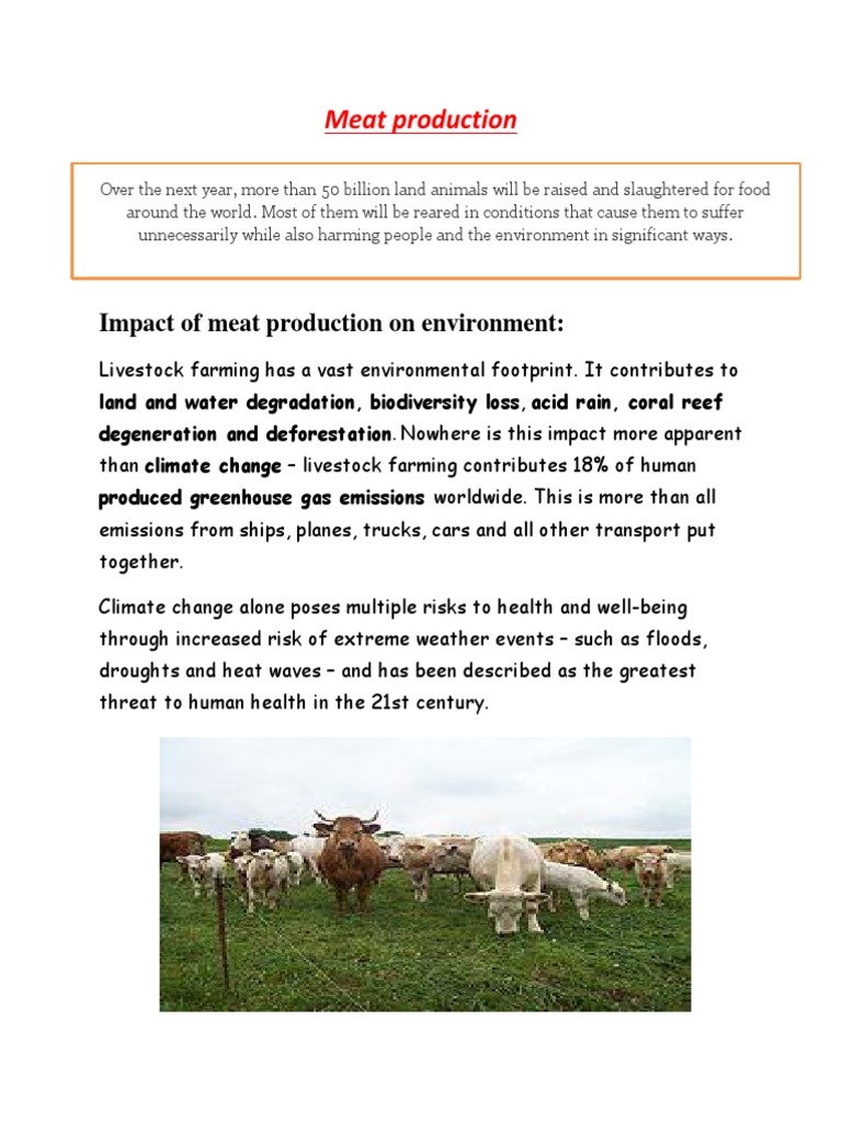 Impact of Meat Production On Environment | PDF | Science & Mathematics ...