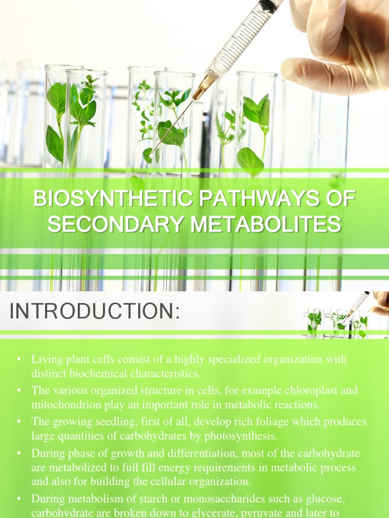 Biosynthetic Pathways of Secondary Metabolites | PDF