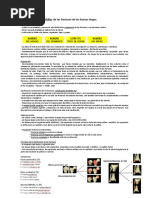 Clasificación de Defectos Óseos | PDF