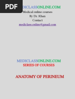 Perineal Region | PDF | Pelvis | Clitoris