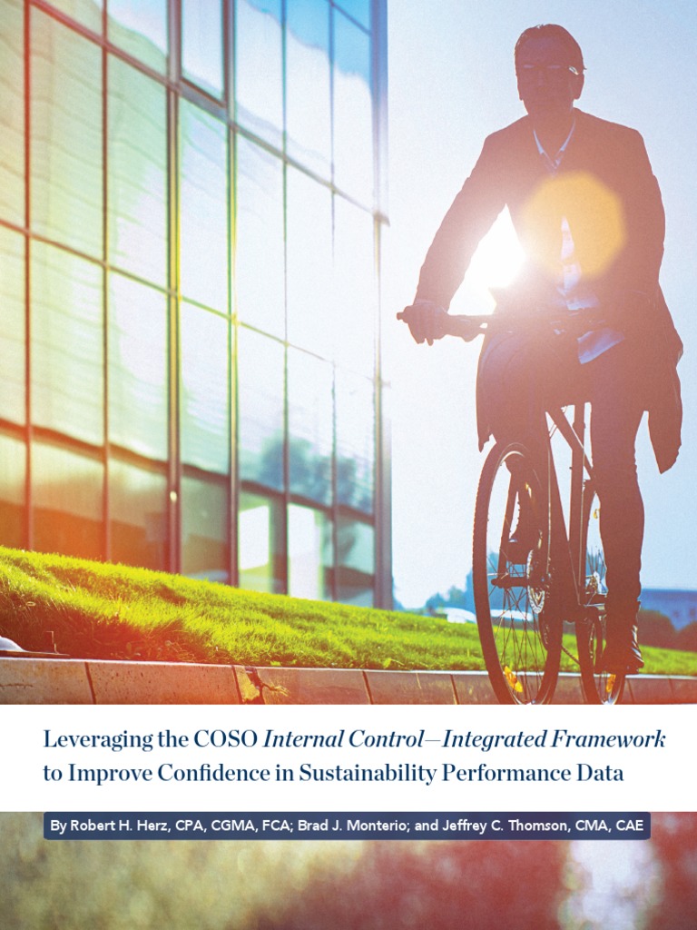 COSO Internal Controls Sustainability91117 | PDF | Internal Control ...