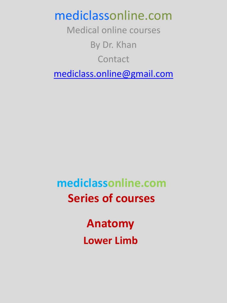 Anatomy of Lower Limb | Download Free PDF | Human Leg | Knee
