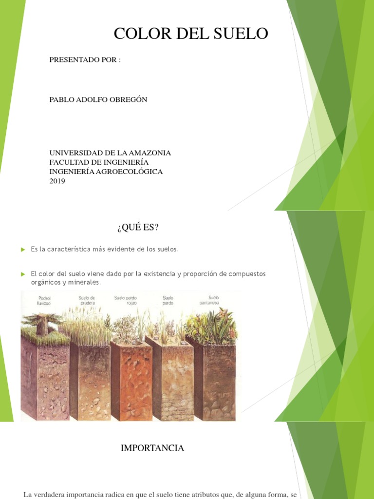 Color Del Suelo | PDF | Color | Suelo
