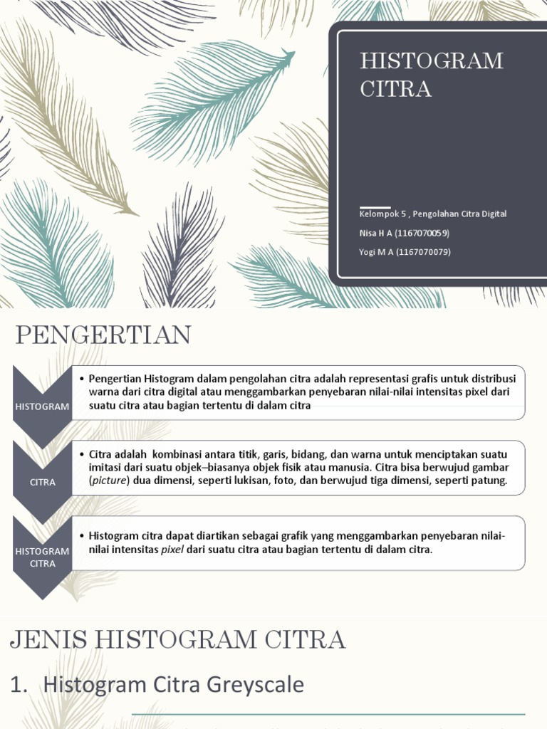 Histogram Citra: Pengertian dan Jenis | PDF