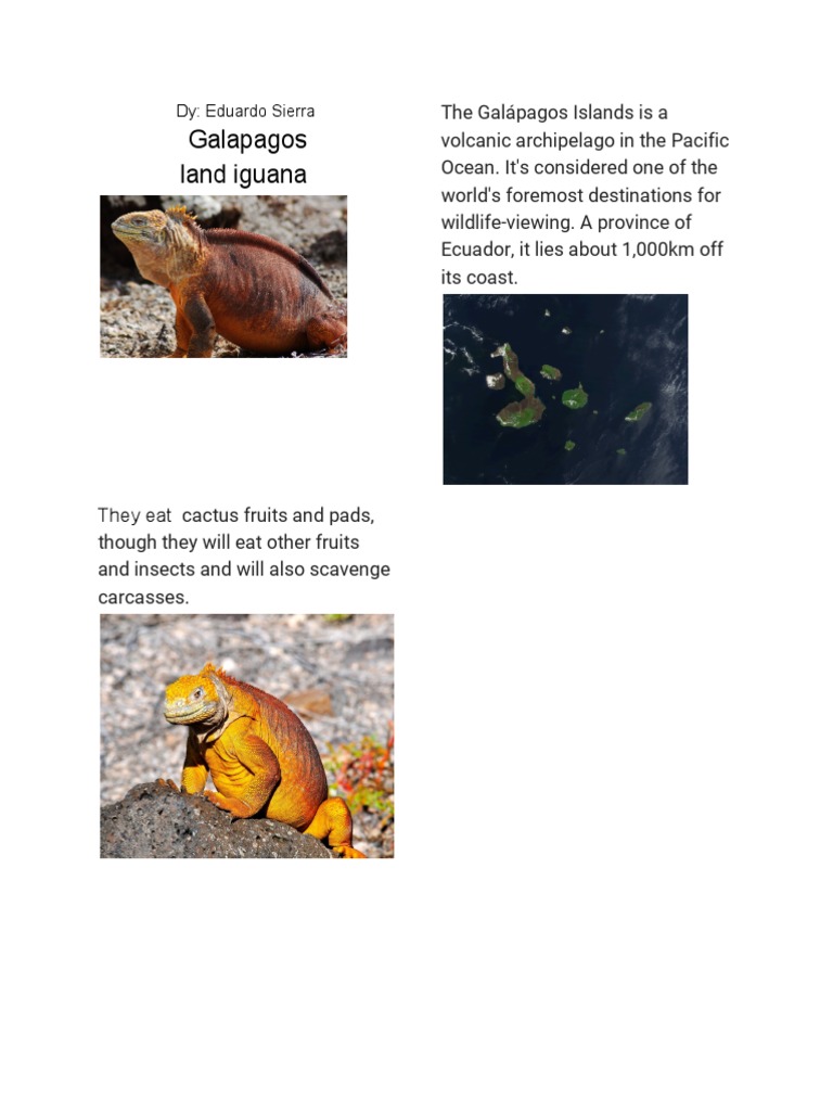 Galapagos | PDF