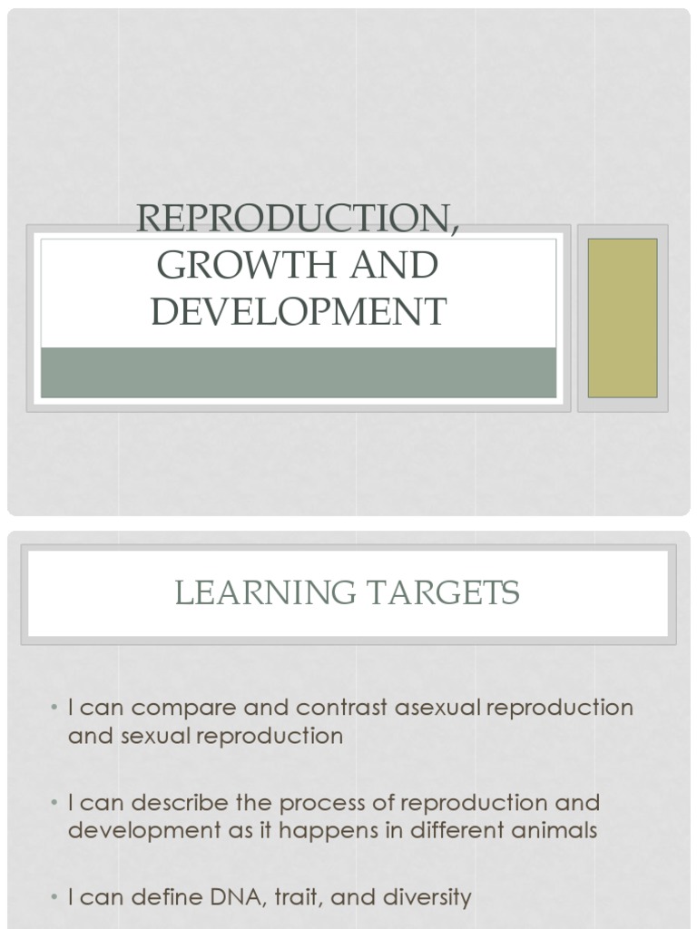 Reproduction Development | PDF | Reproduction | Sexual Reproduction