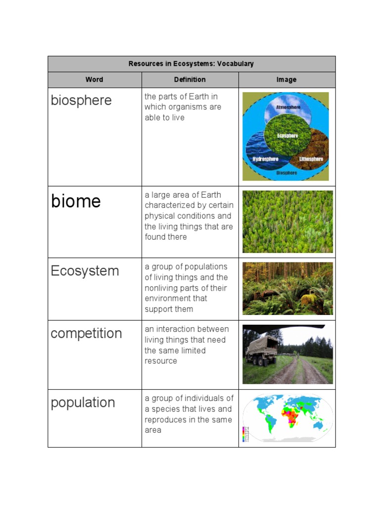 Adrian Banuelos - Resources in Ecosystems Vocabulary | PDF | Ecology ...