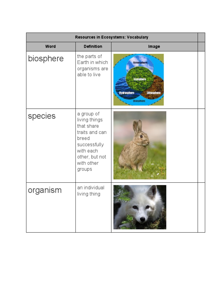 Copy of Natalie Escobar - Resources in Ecosystems Vocabulary | PDF ...