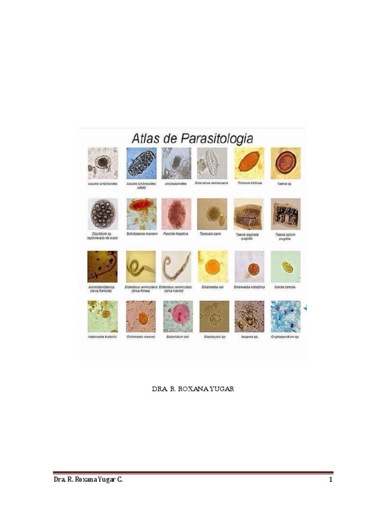 Atlas Parasitologico | PDF | Parasitología | Microbiología