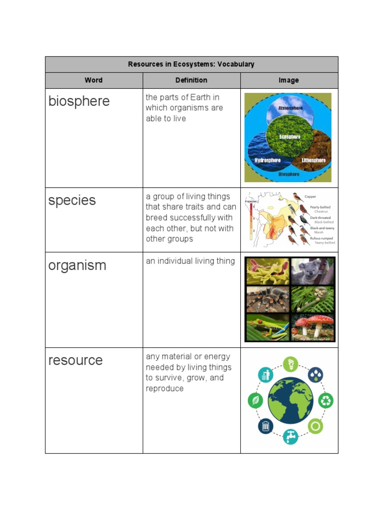 Jazmin Green - Resources in Ecosystems Vocabulary 1 | PDF