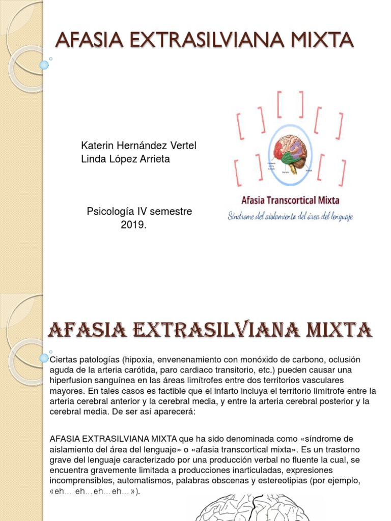Afasia Extrasilviana Mixta Linda Lopez | PDF | Afasia | Medicina CLINICA