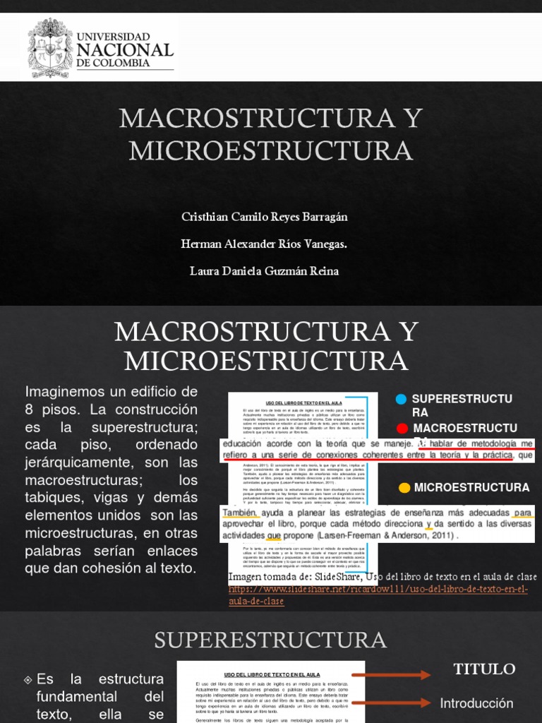 Macro y Micro Estrutura Textual, Grupo 1 | PDF