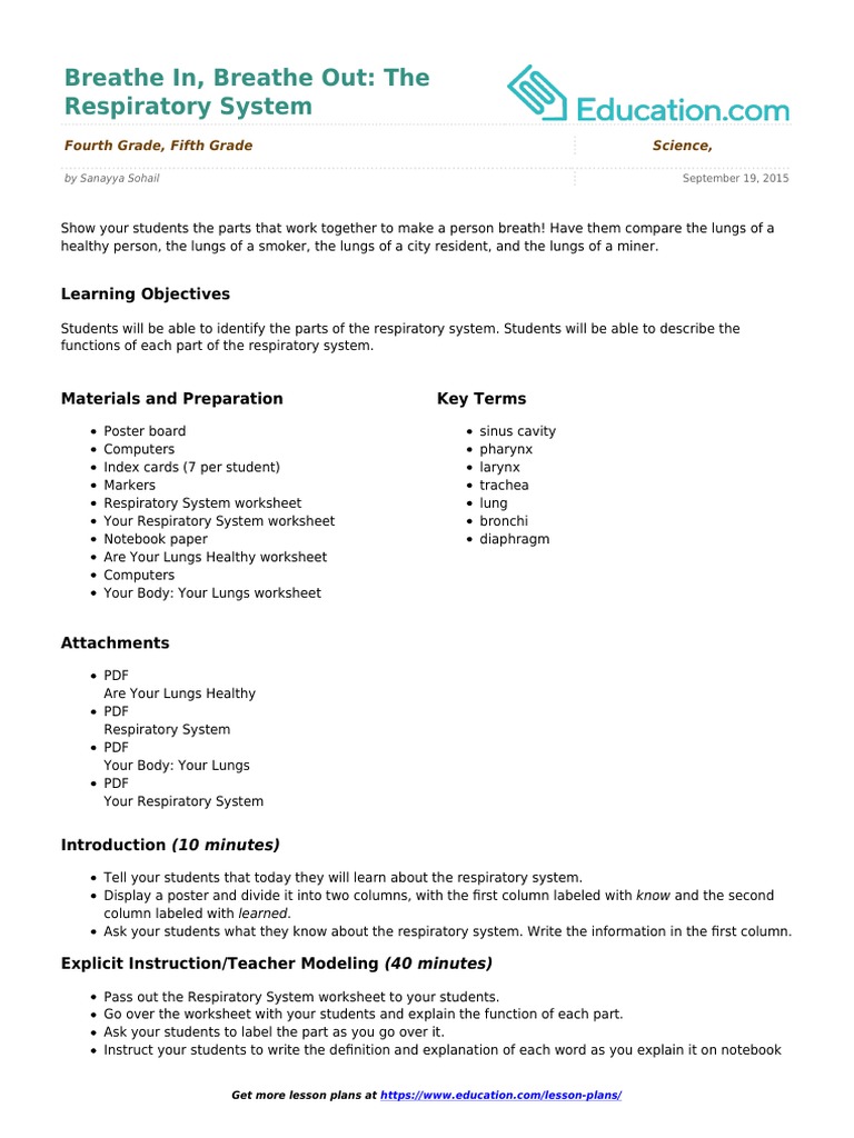 Breathe In, Breathe Out: Exploring the Parts and Functions of the ...