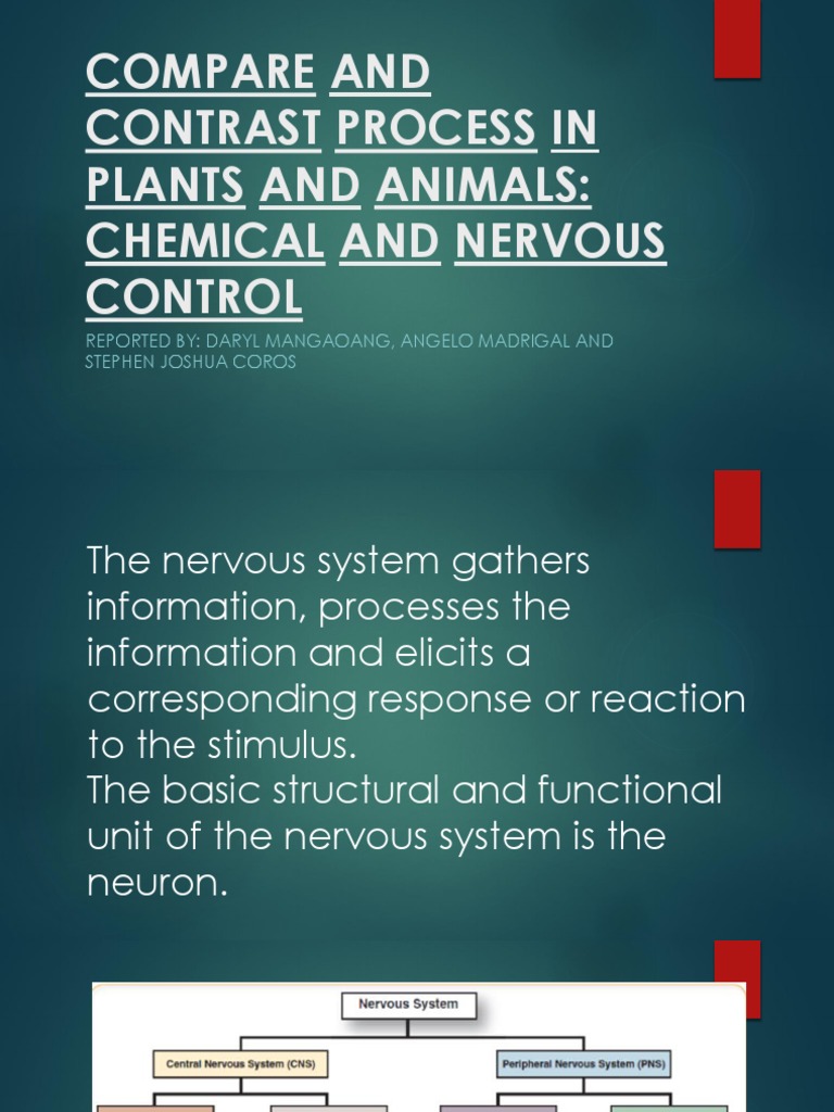 Compare and Contrast Process in Plants and Animals | PDF | Action Potential | Neuron