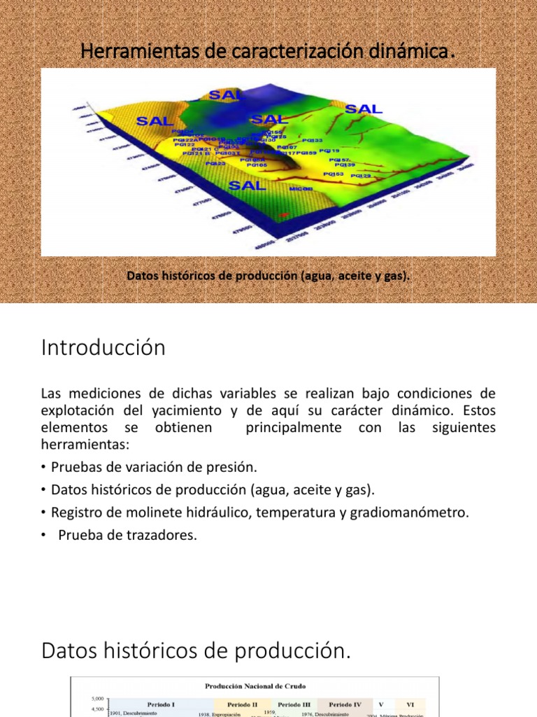 Herramientas de Caracterización Dinámica | PDF | Curva | Petróleo