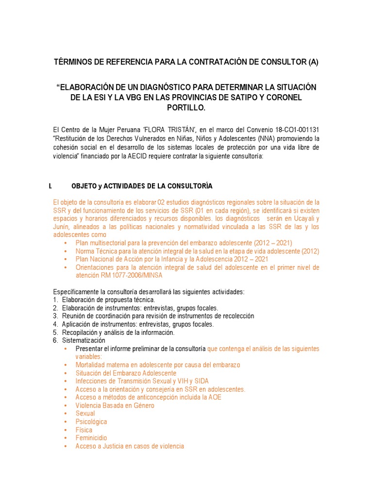 Formato para TDR - DX SSR | PDF | Adolescencia | Bienestar