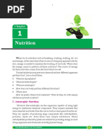 Calvin Cycle Worksheet | PDF | Biology | Biochemistry