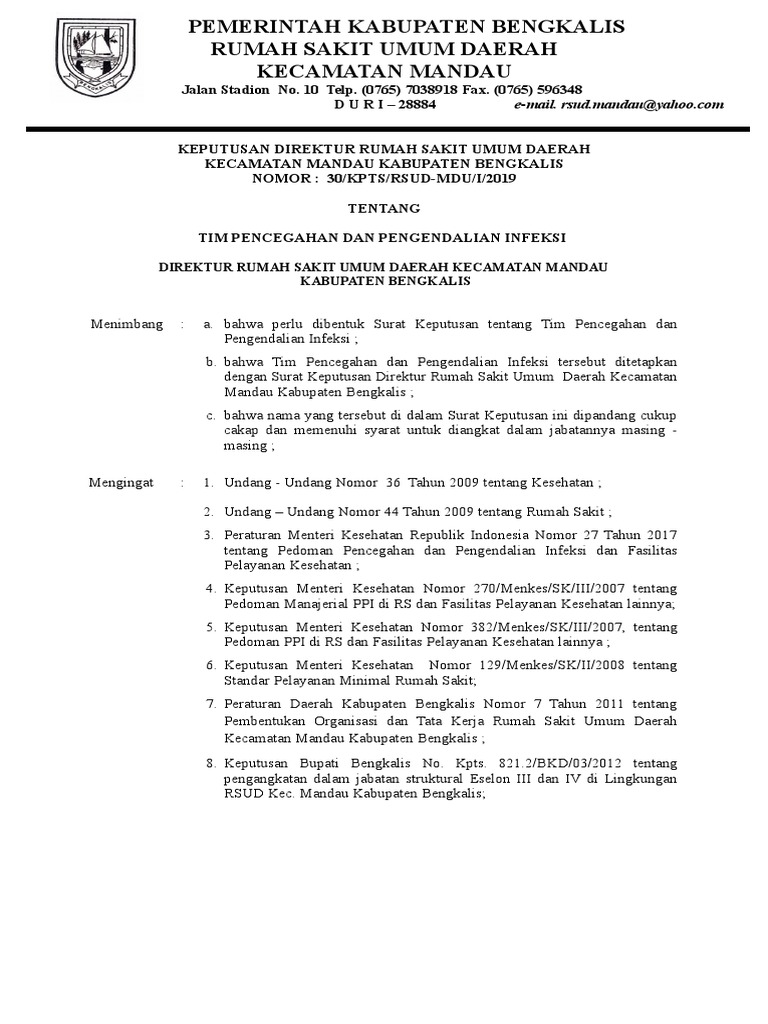 SK Tim Ppi Rsud Kecamatan Mandau 2019 | PDF